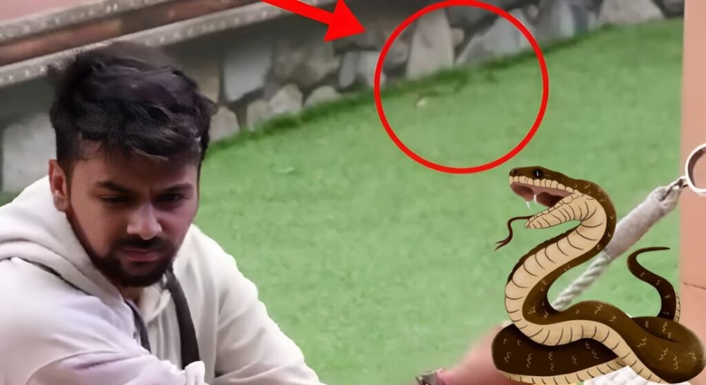 Bigg Boss OTT 3 Snake Spotted: Truth Behind the Viral Video
